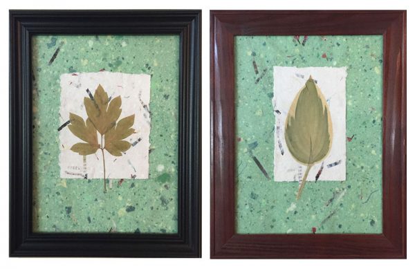 Pressed Leaves Art Frames – Craft Picnic